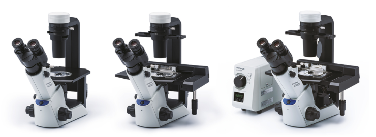 Advancing Cell Cultivation with the Olympus CKX53 Microscope